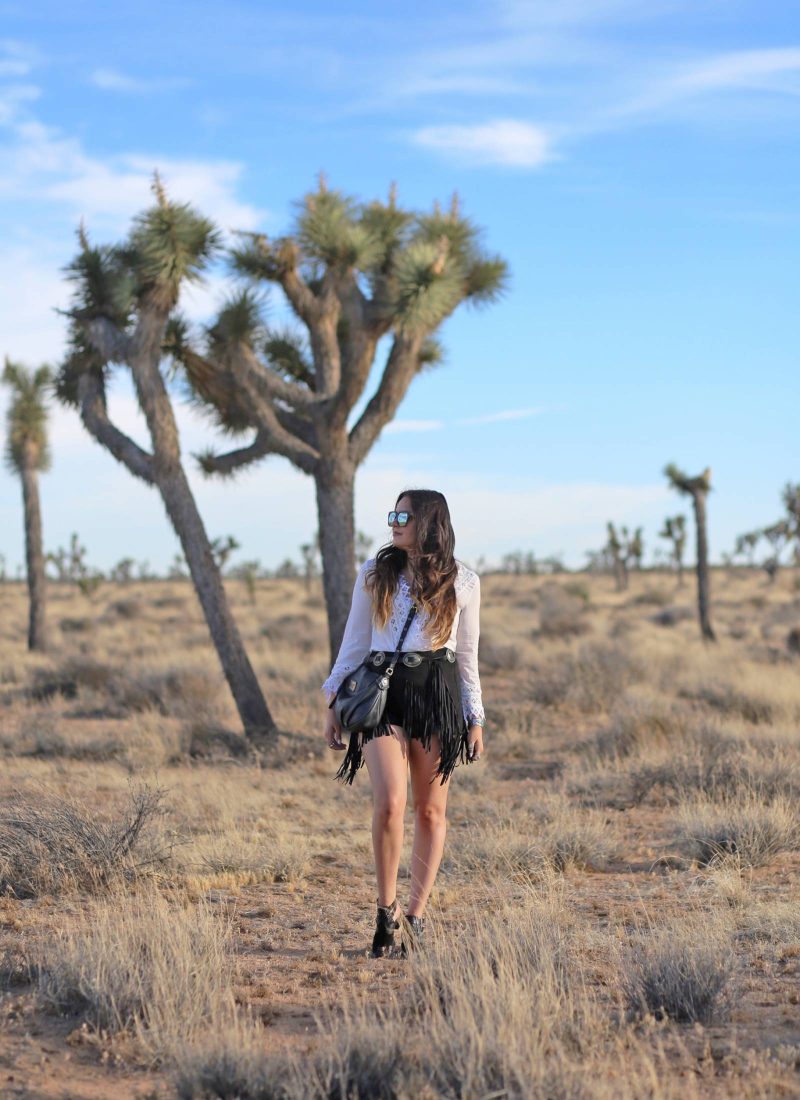 The Best of Joshua Tree with Boho Nouveau | Mash Elle